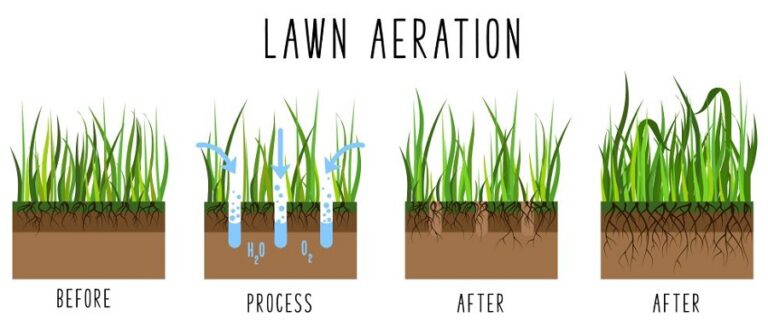 Guide to the Different Types of Lawn Aerators